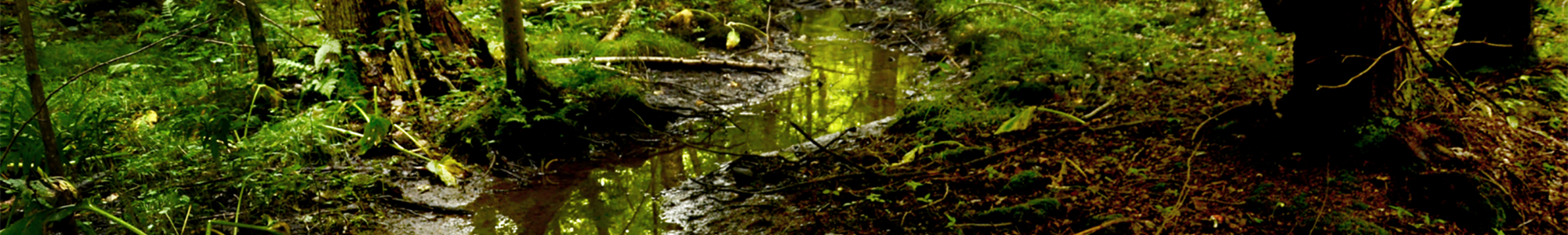 Helen B. Katz Natural Area - Western Pennsylvania Conservancy