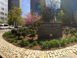 Downtown Pittsburgh Trees - Western Pennsylvania Conservancy