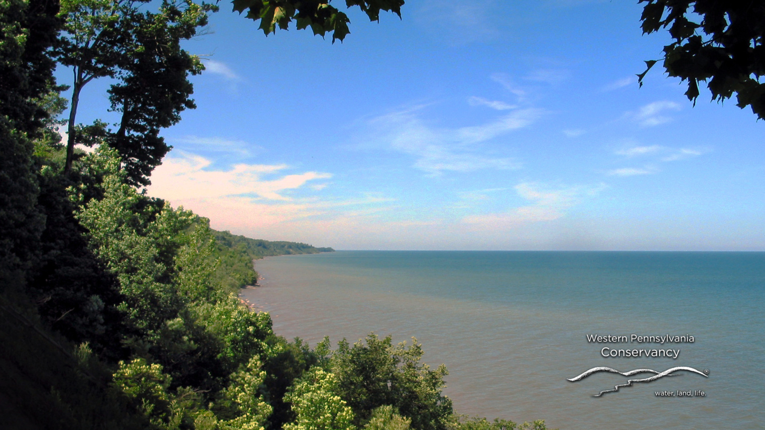 Virtual Backgrounds - Western Pennsylvania Conservancy