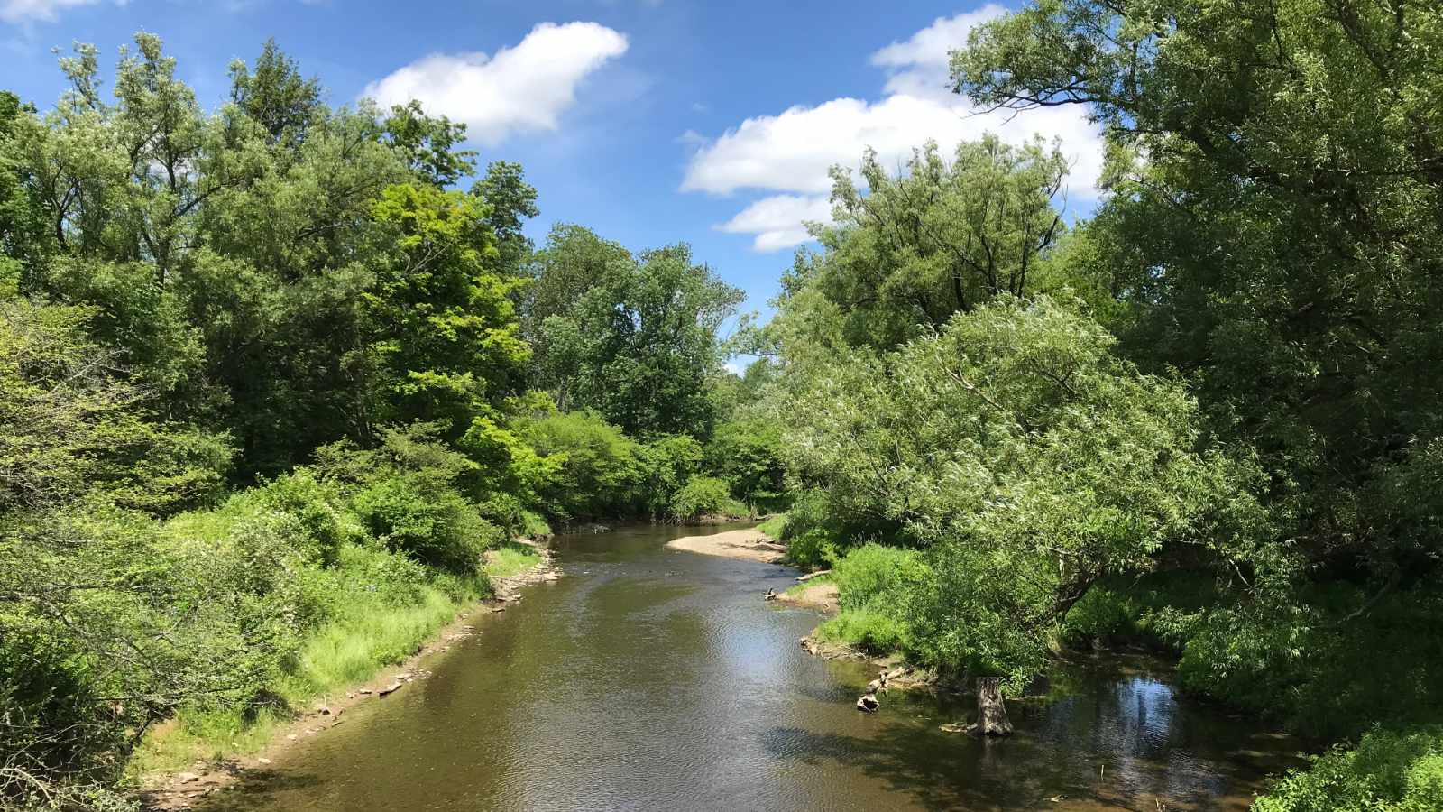 West Branch French Creek Conservation Area Western Pennsylvania 