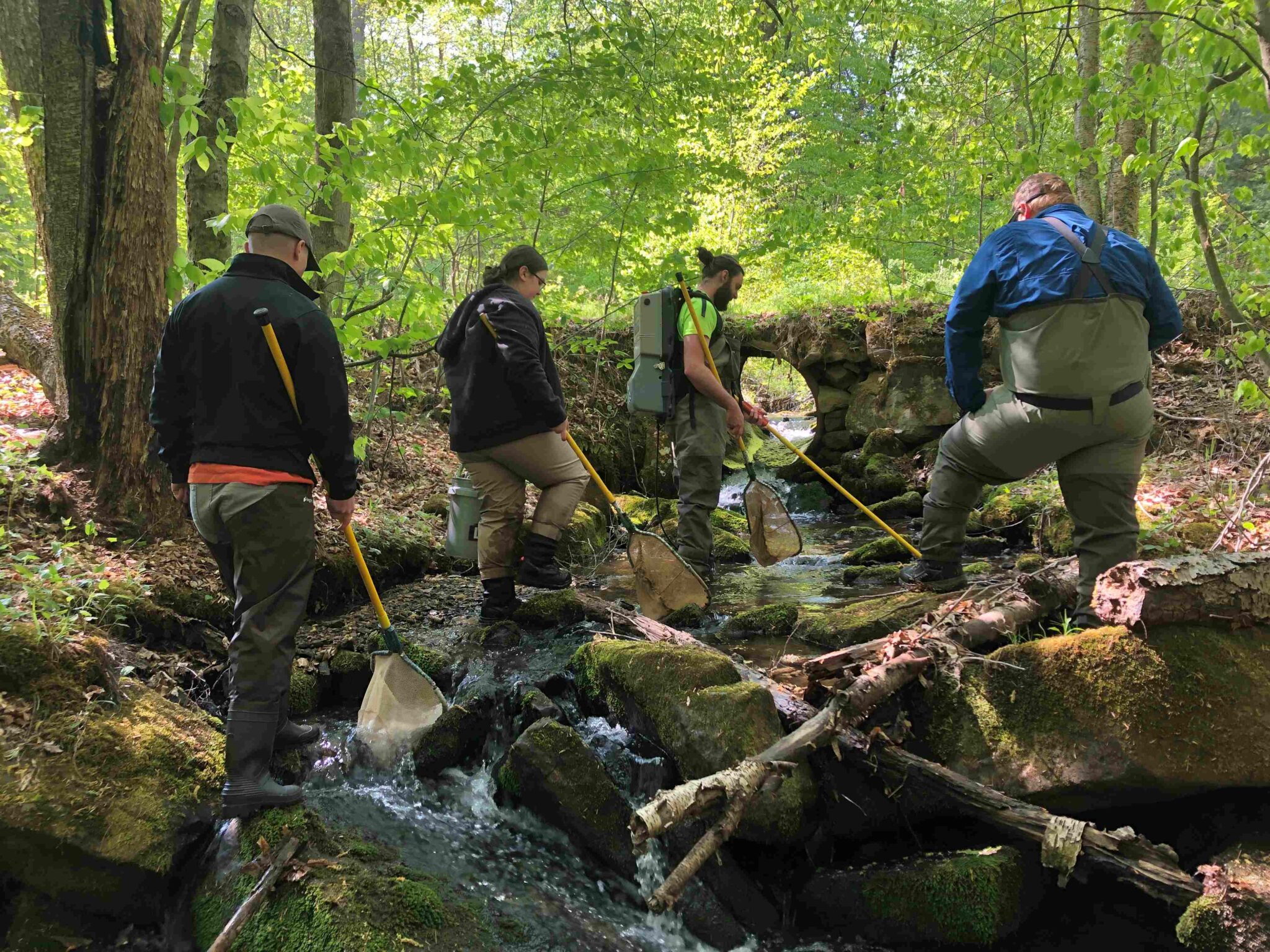 Watershed Conservation Program Receives U.S. Forest Service Award for ...
