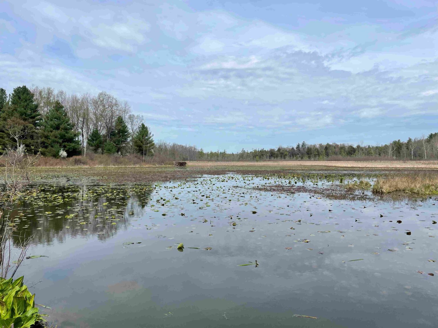 WPC Acquires Land in the French Creek Watershed toExpand State Game ...