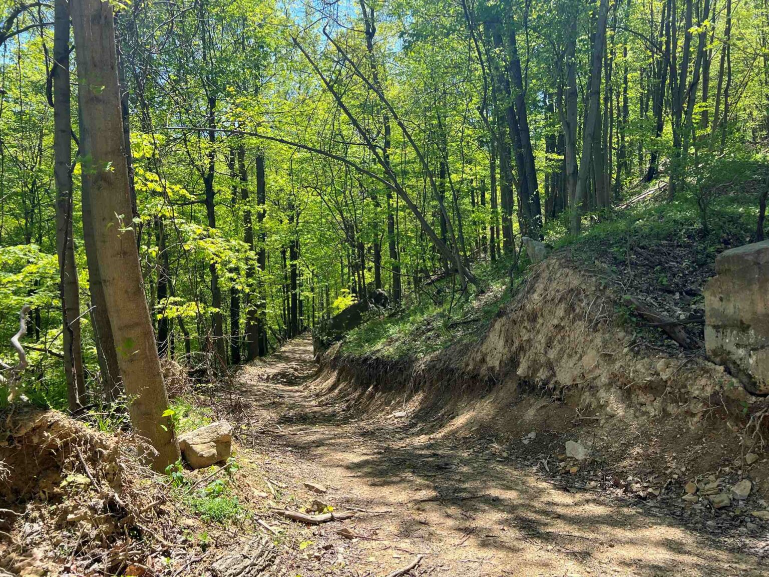 WPC Protects More Than 700 Acres of Forestland,Adds to Forbes State ...