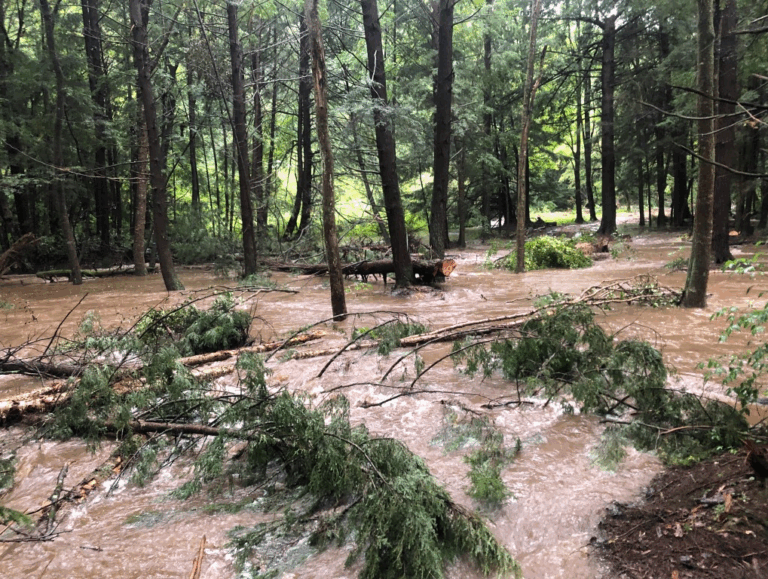Little Arnot Project - Western Pennsylvania Conservancy