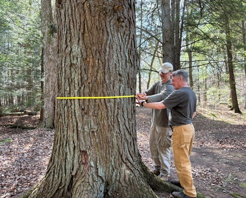 Our Favorite Moments of 2025 - Western Pennsylvania Conservancy